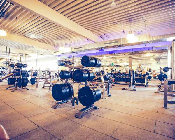 Worms | VeniceBeach Fitness