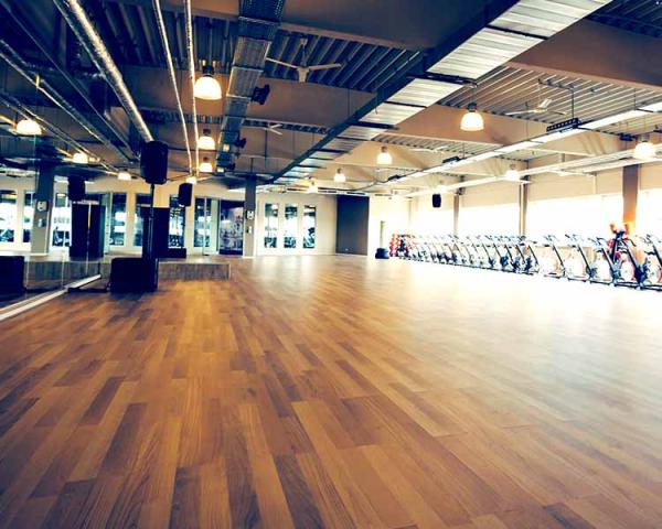 Worms | VeniceBeach Fitness