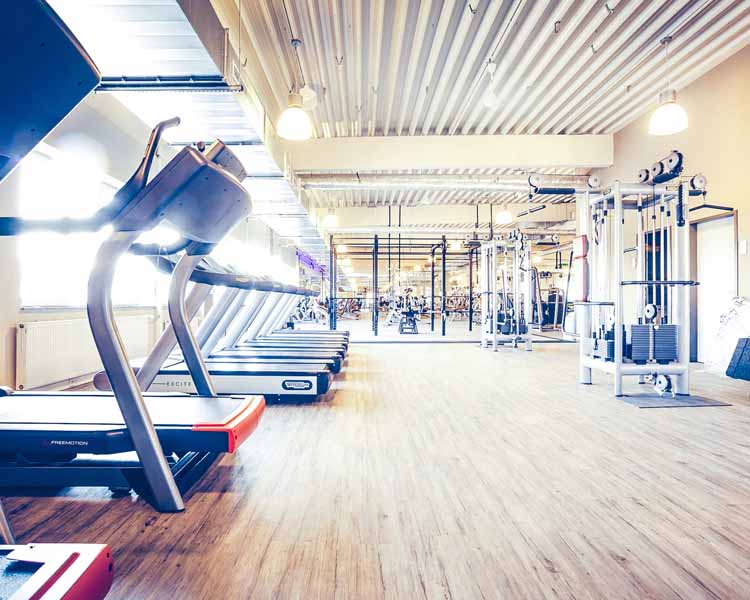 Worms | VeniceBeach Fitness